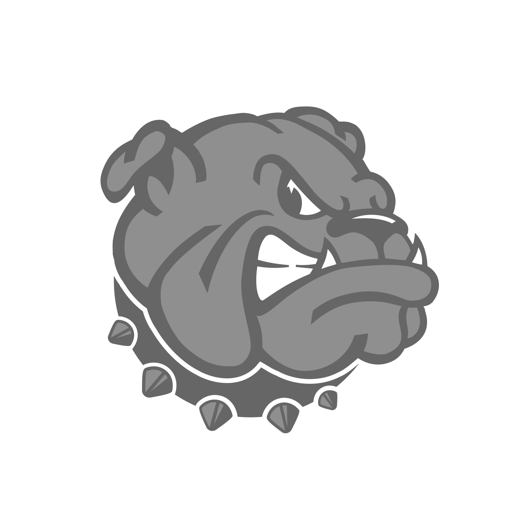 Western Illinois Strength Case Study